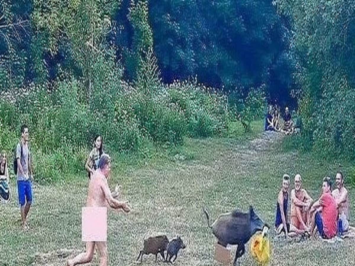 These Confusing And Bizarre Viral Pics Will Make You Scratch Your Head ...