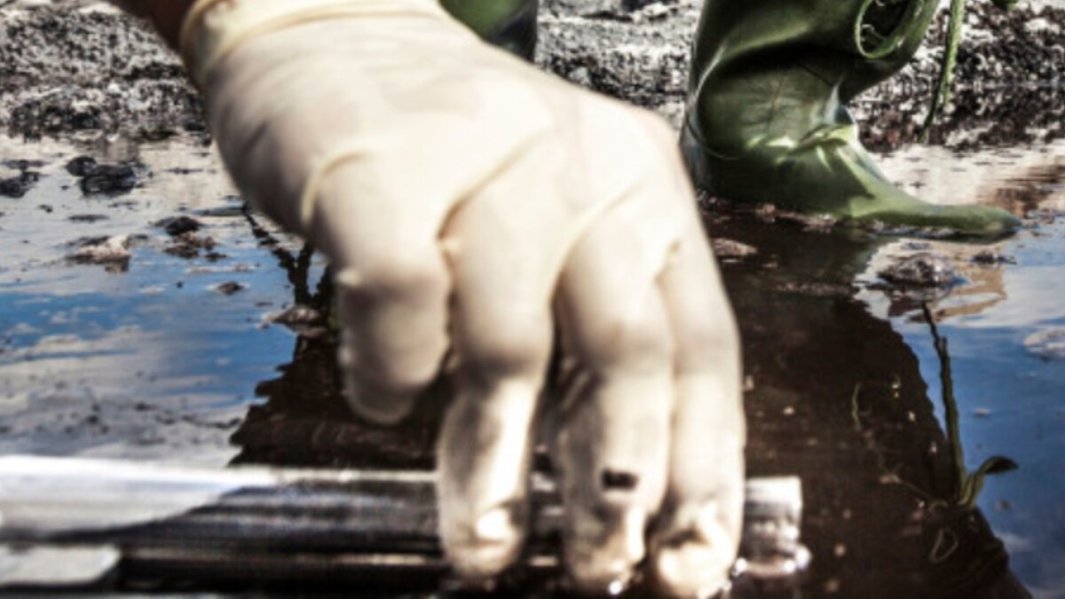 What Are 'Forever Chemicals', Those Substances that Remain in ...