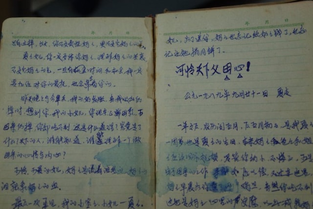 ‘This Hurts Forever’: Mom's Heartbreaking Diary Entries On China’s One ...