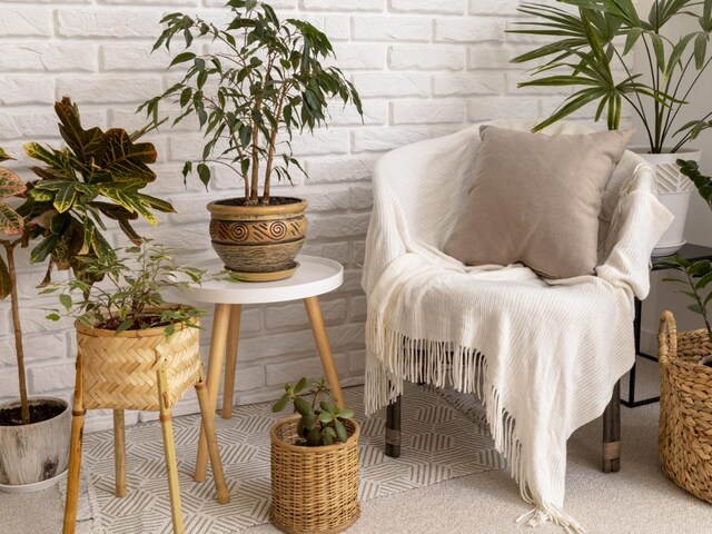 Earth-Friendly Home Décor and Its Impact on Our Lives and the Planet ...