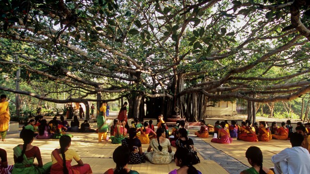 Kalakshetra Foundation Row: Can Chennai's Famed Dance Academy Weather ...