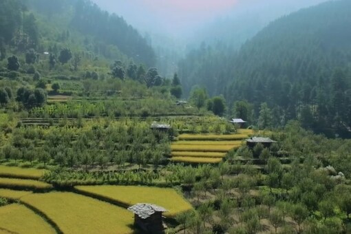 A Taste Of Mizoram: Incredible Traditional Delicacies Of The State - News18