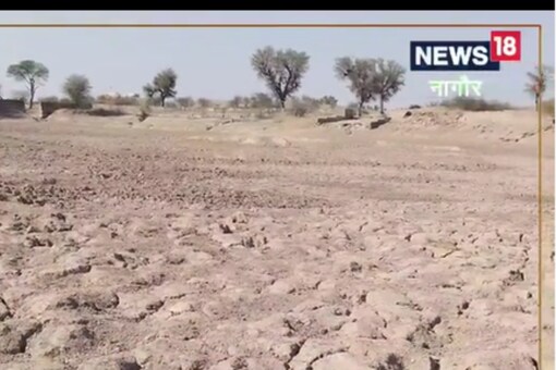 The Little-Known History Of Alnav Pond In Rajasthan's Nagaur - News18
