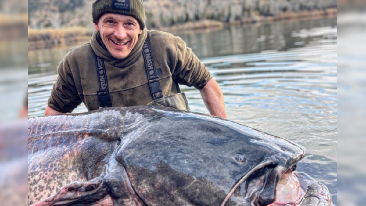 Man Narrates ‘Painful’ Experience Of Catching 100 Kg Catfish At -3°C ...