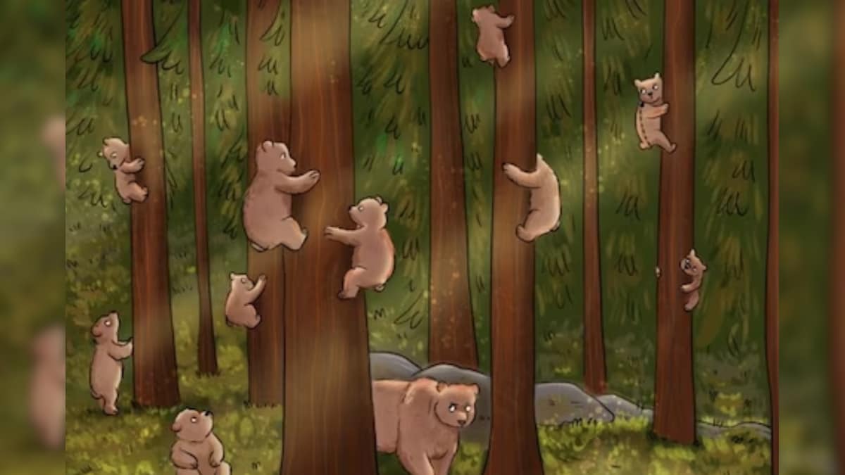 Spot The Human Disguised As Bear In This Optical Illusion; You've 11 ...