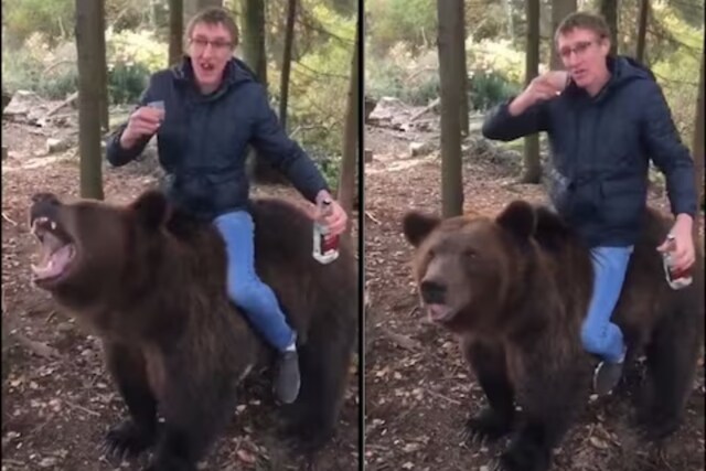 Watch: Drunk Russian Man Sitting Atop Furious Wild Bear Leaves Internet ...