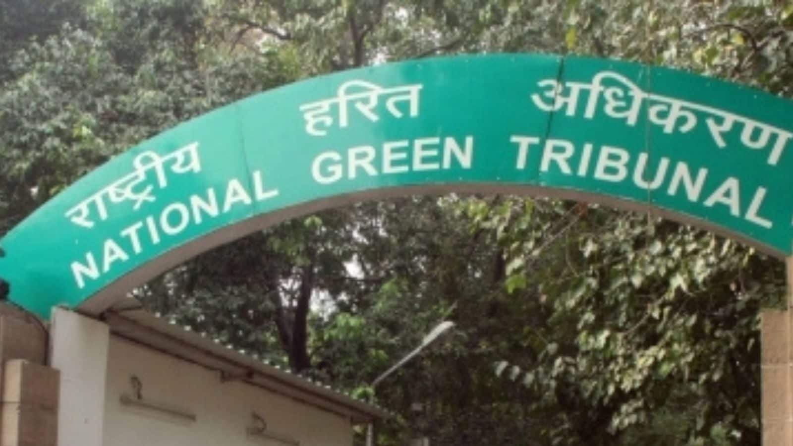 NGT Directs UP University to Stop Construction in Bird Sanctuary's ...