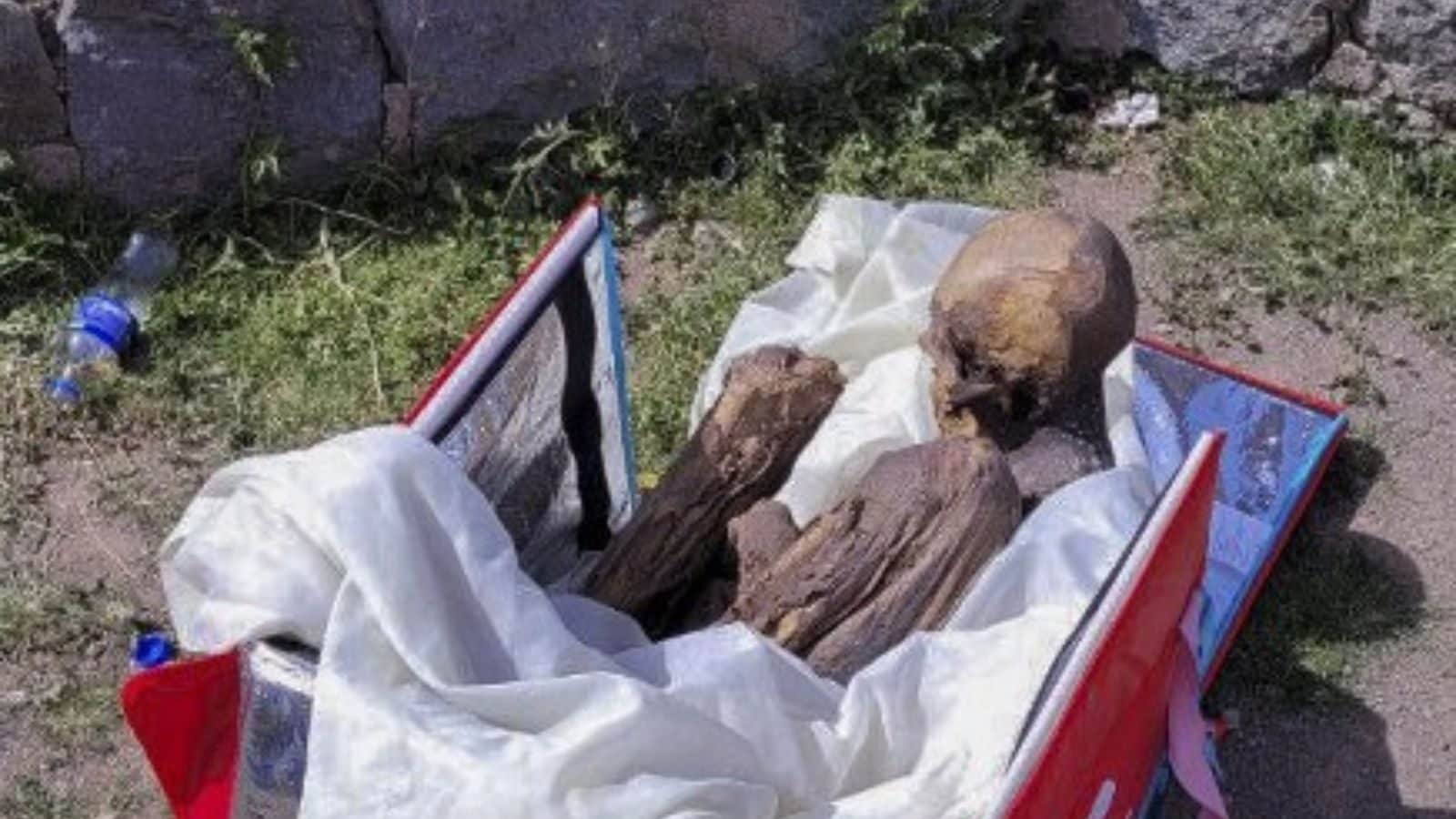 Peru Man Found With Around 800-year-old Mummy in Bag, Calls It His ...