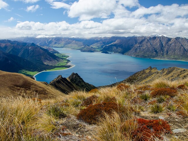 Discover The Colours Of The Rainbow In Vibrant New Zealand - News18