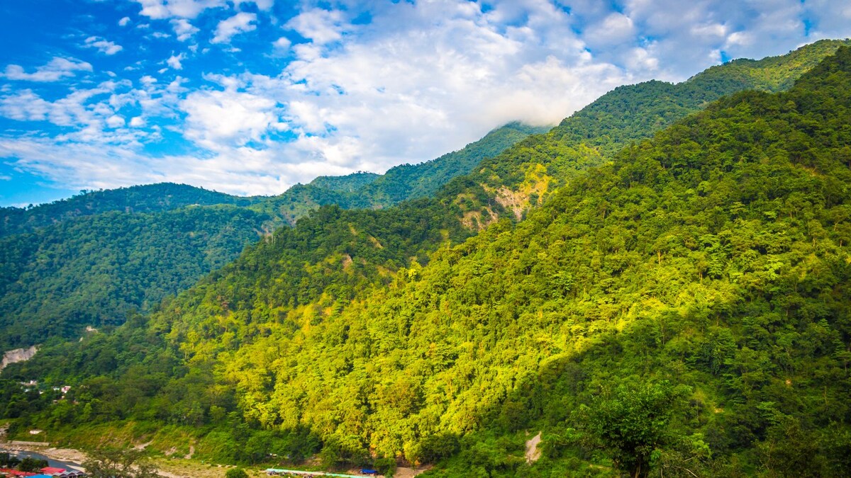 The Giant Swing in Rishikesh: A Novel and Exhilarating Way to ...