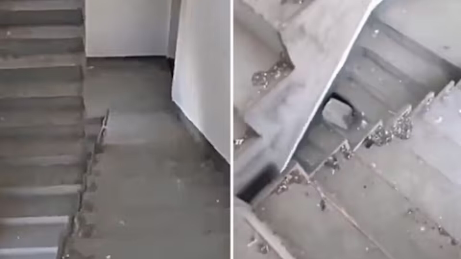 Watch: This Staircase With Zero Space In Between is Viral, Internet has ...