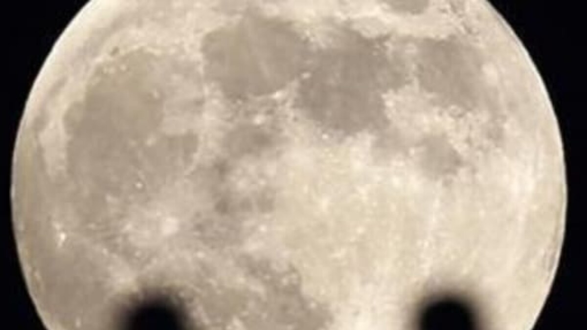 Worm Moon: How And When You Can See The Last Full Moon Of This Winter ...