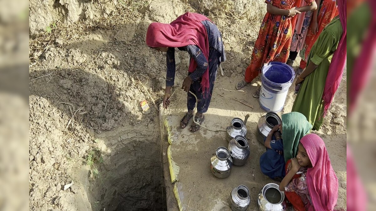 No Water to Drink, No Food For Animals, A Tale of Gujarat's Banni Where ...