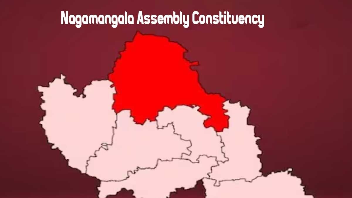 Karnataka Elections: All You Need To Know About Nagamangala Assembly ...