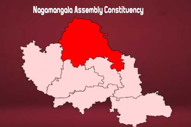 Karnataka Elections: All You Need To Know About Nagamangala Assembly ...