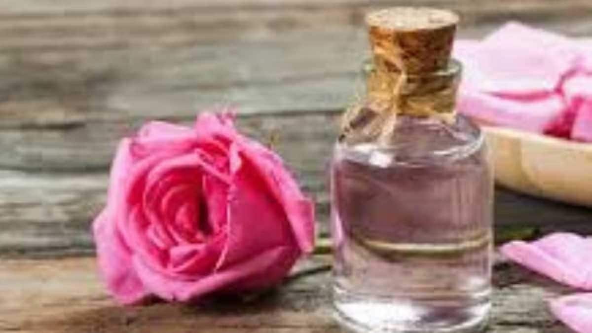 Meet Ramesh Tapadia, Rose Cultivator From Karnataka, Famous For His ...