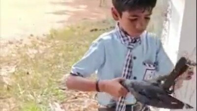 Video Of This Young Boy Rescuing Crow Trapped In Net Is Tutorial On ...