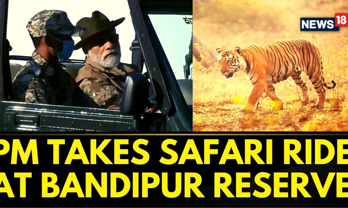 PM Modi News | PM Narendra Modi Takes Safari Ride At Bandipur Tiger ...