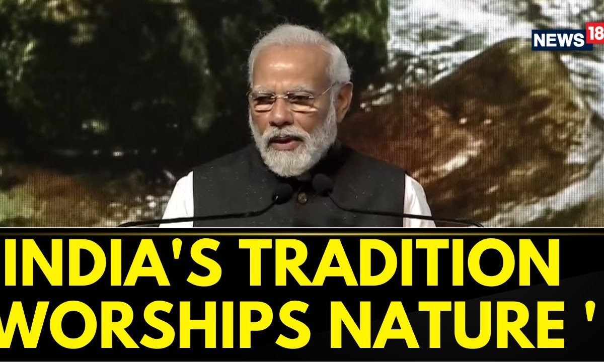 50 Years Of Project Tiger | Nature Conservation Is Ingrained In Culture ...