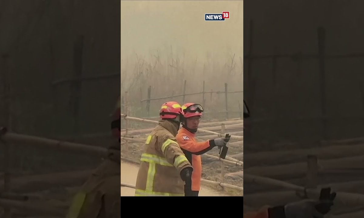 Firefighters Struggle To Contain Wildfire In Eastern South Korea ...