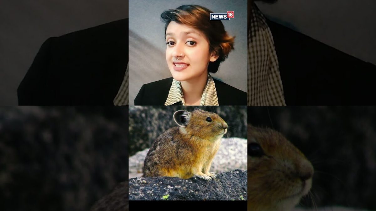 Justin Trudeau's Residence Shut Down Over Rodent Infestation | Canada ...