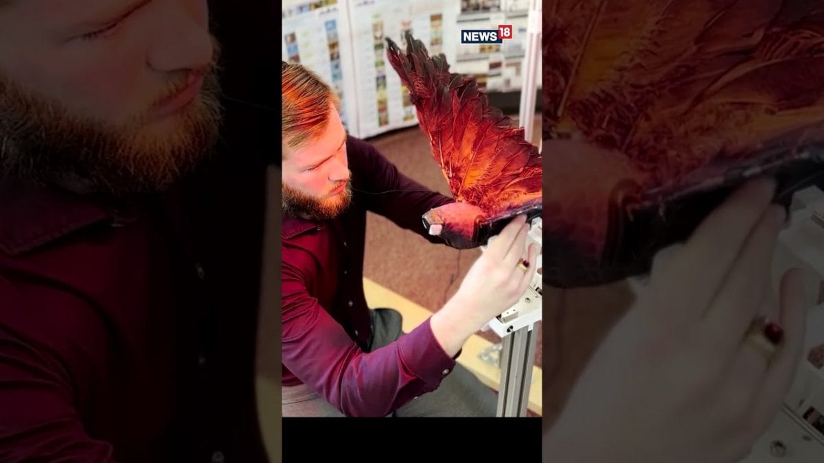 Dead Birds Get New Life: New Mexico Researchers Develop Taxidermy Bird ...
