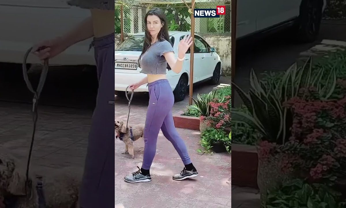 Dog Mom Giorgia Andriani Out For Her Walk Along With Her Cute Gog | WATCH | #Shorts | News18 ...