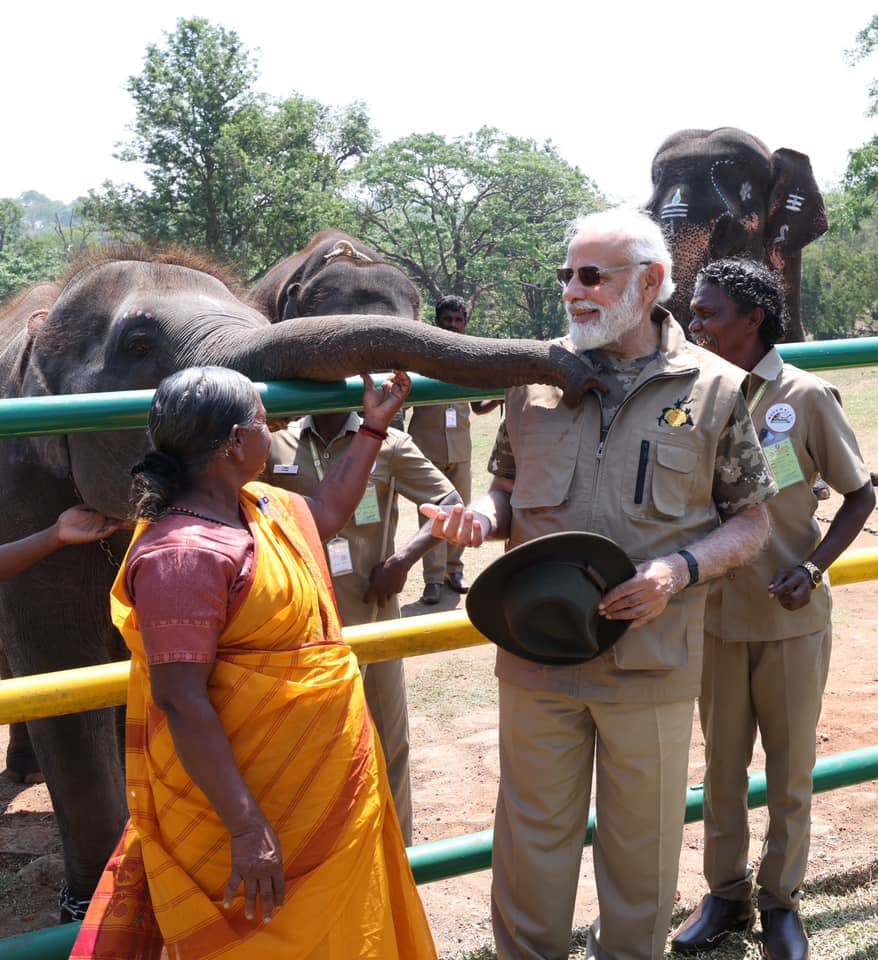 50 Yrs of 'Project Tiger': PM Modi Goes on 'Jungle Safari' at Bandipur ...