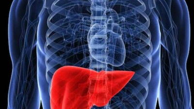 5 Warning Signs Your Liver Has Excess Water In It | Lifestyle News - News18