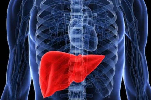 5 Warning Signs Your Liver Has Excess Water In It - News18