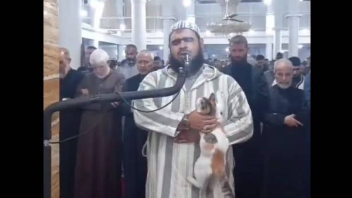 Cat Climbing On Imam’s Shoulders During Ramadan Prayers Is Cutest ...