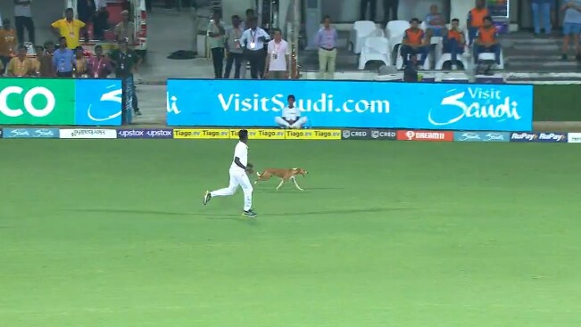 WATCH: Dog Delays Start of LSG vs CSK Encounter at Chepauk ...