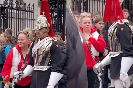 King's Guard Screams at Woman Outside Buckingham Palace, Viral Video ...