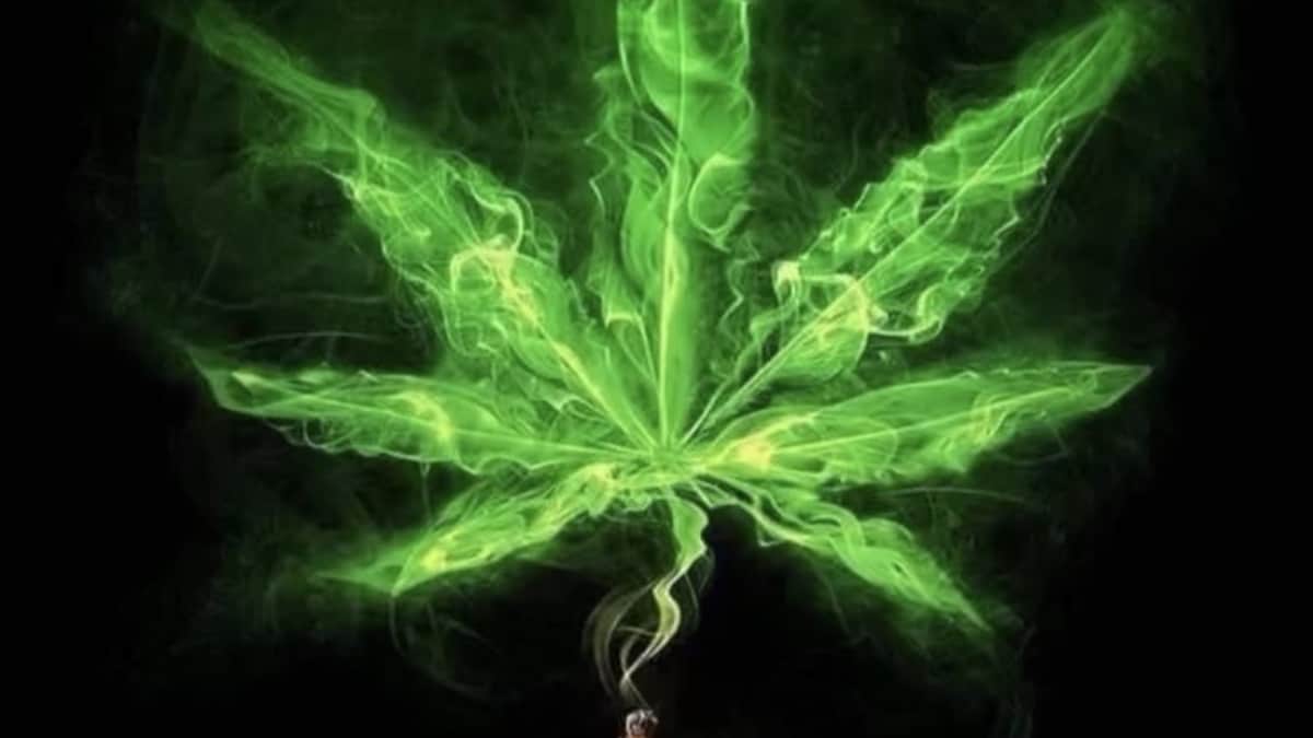 Twitter Lights Up With Hilarious 420 Day Posts And Memes | Buzz News ...