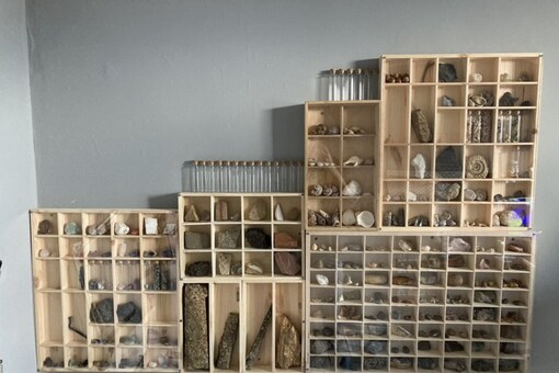 Cement, Rocks And Snail Shells: Woman Has A Shelf For Autistic Son's ...