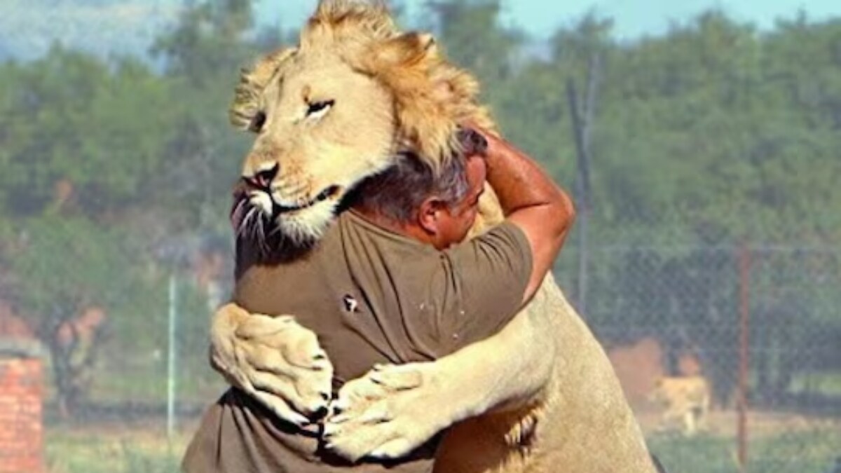 Watch: Video Of Animals Reuniting With Their Owner Will Melt Your Heart ...