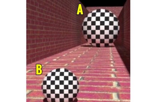 Which Ball Is Bigger – Can You Pick The Right Answer In Just 5 Seconds ...