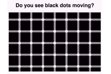 Find The Black Dot Illusion