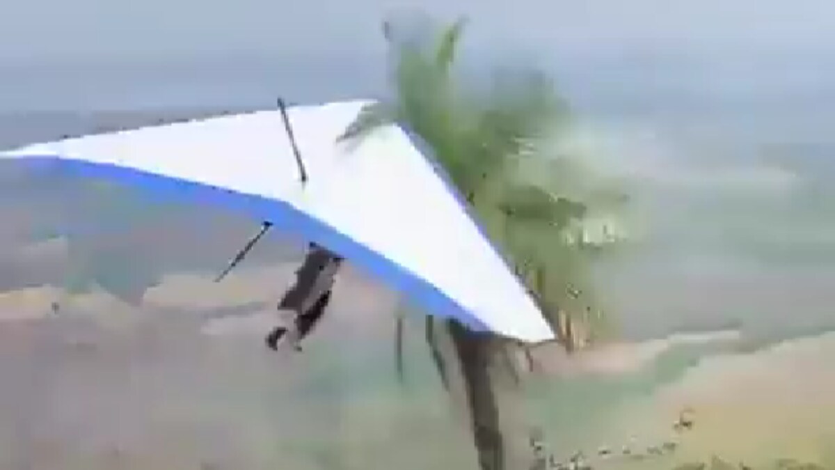 ‘Fall From Sky And Stuck At Palm Tree’: Watch Man’s Hand Gliding Mishap ...
