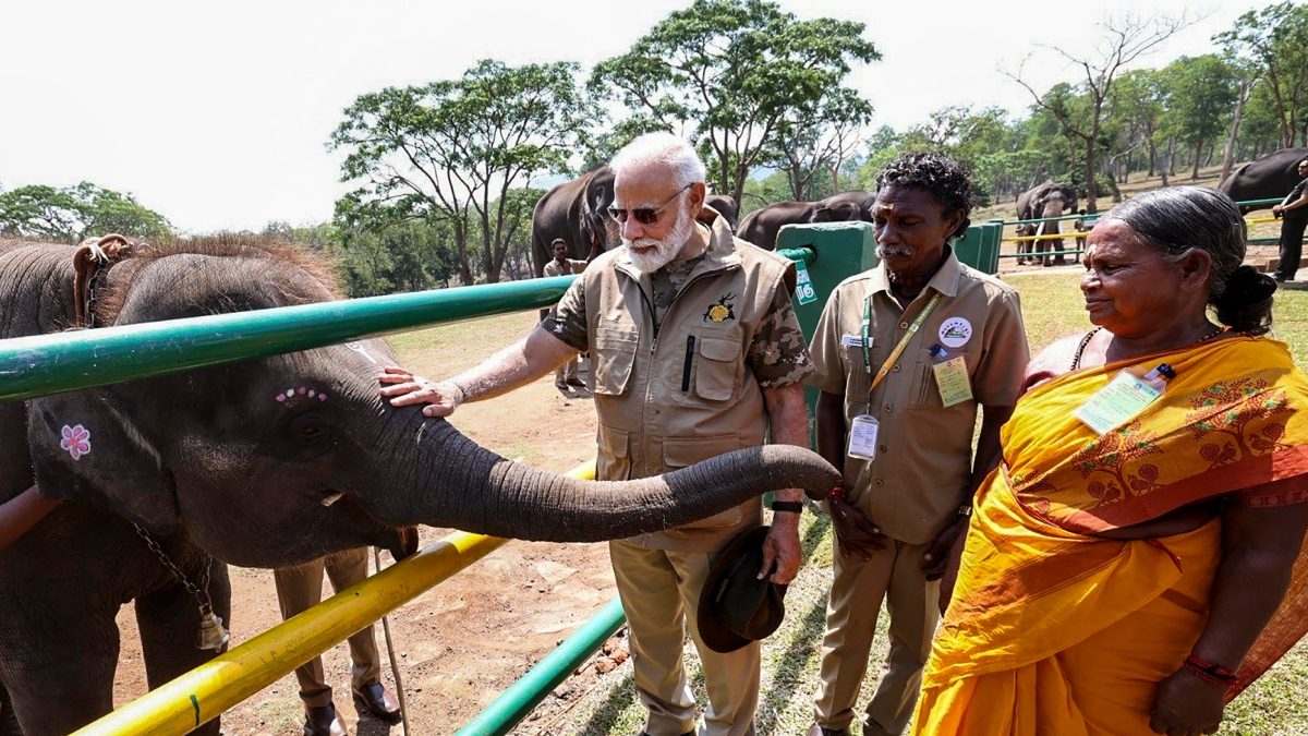 Safari in Style, Talk on India's Big Cat Conservation, Meet With ...