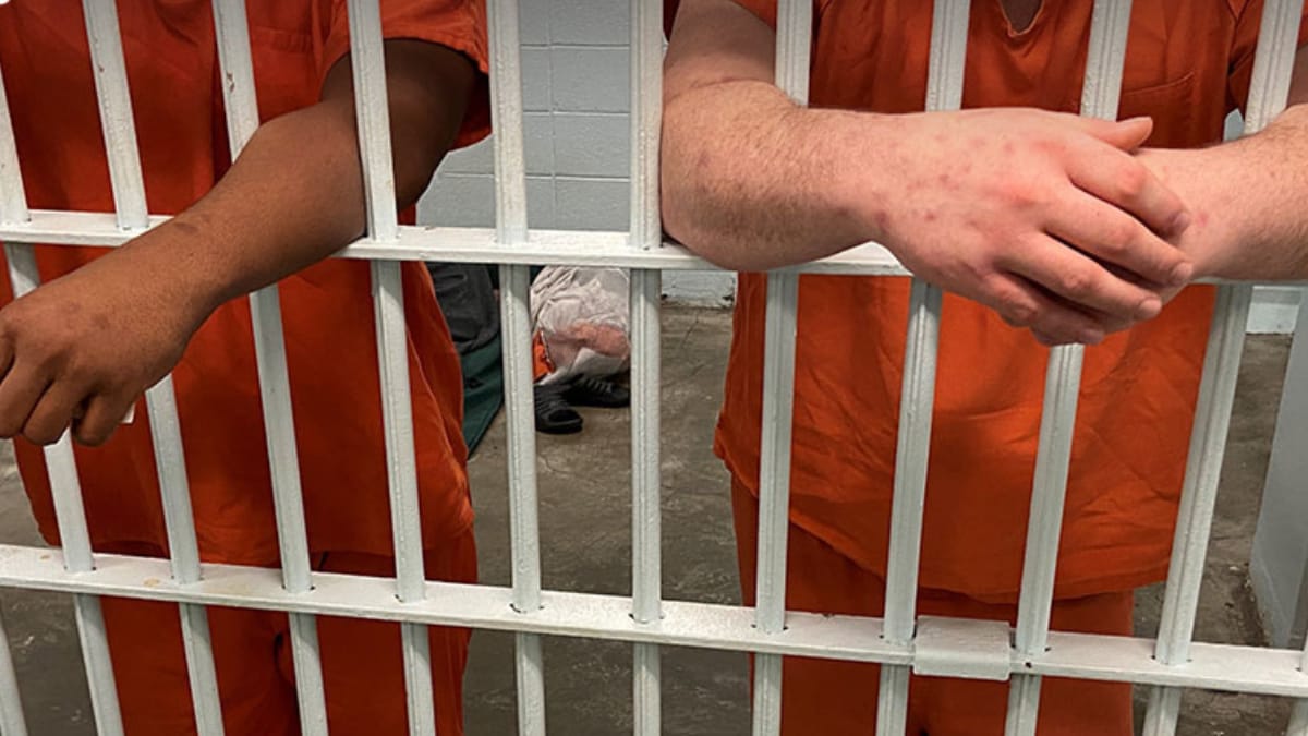 Why Books Could Help Empty France's Prisons | Buzz News - News18