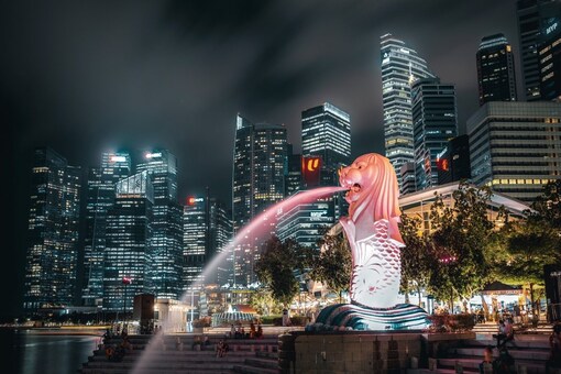 Singapore Airlines To Stop Using Paper Boxes for In-Flight Meals After ...