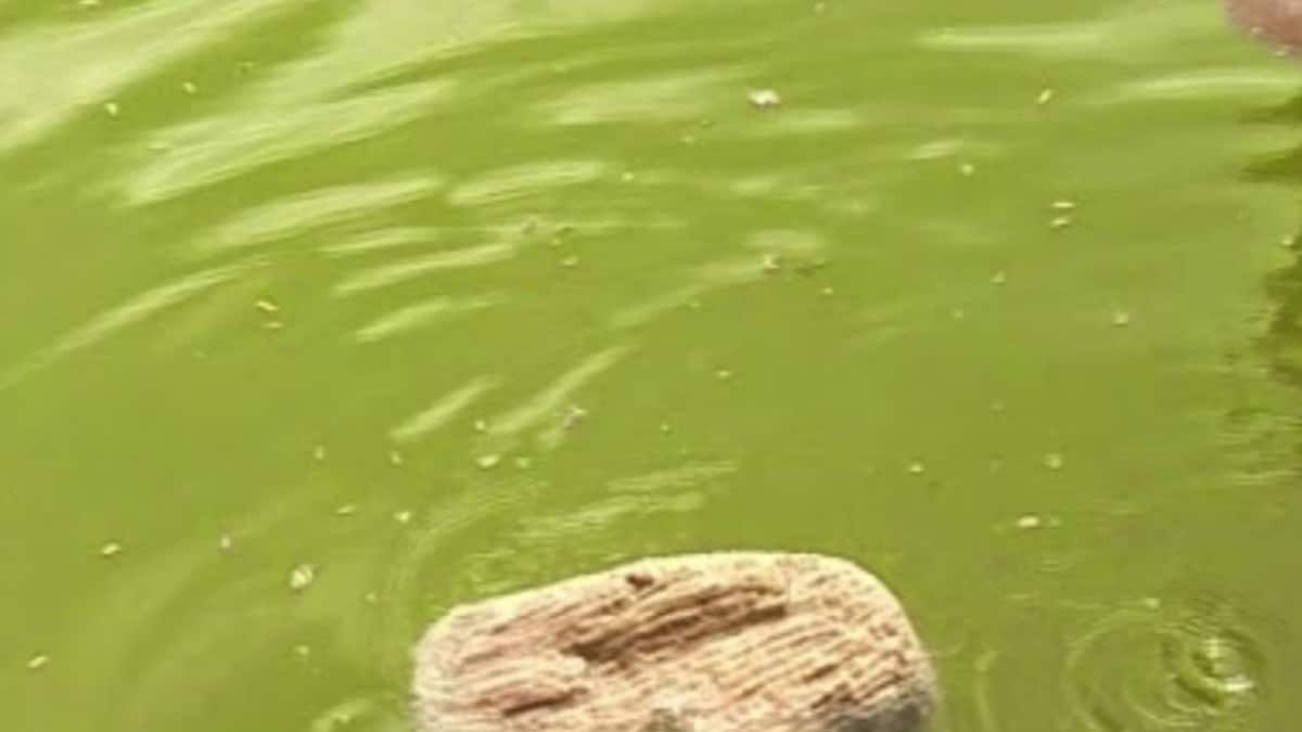 These Floating Stones In Two Tamil Nadu Temples Are A Big Tourist ...