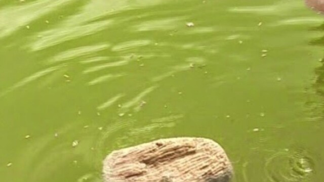 These Floating Stones In Two Tamil Nadu Temples Are A Big Tourist ...