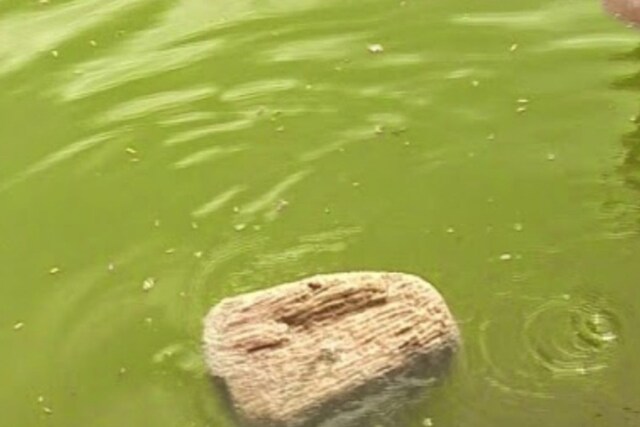 These Floating Stones In Two Tamil Nadu Temples Are A Big Tourist ...
