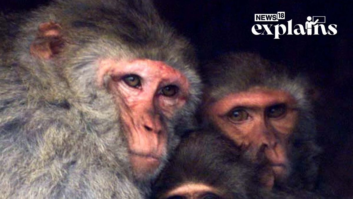 Why the Hell Do Flights See Such Unruly Behaviour? A Social Experiment ...