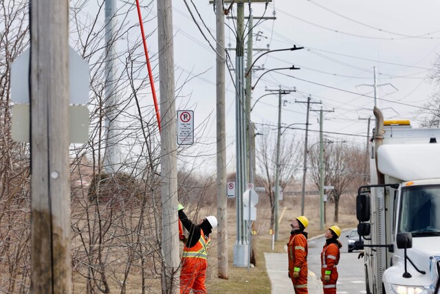 Too Hot to Handle: 85% Households Face Power Outages Daily, 37% for 2-8 ...