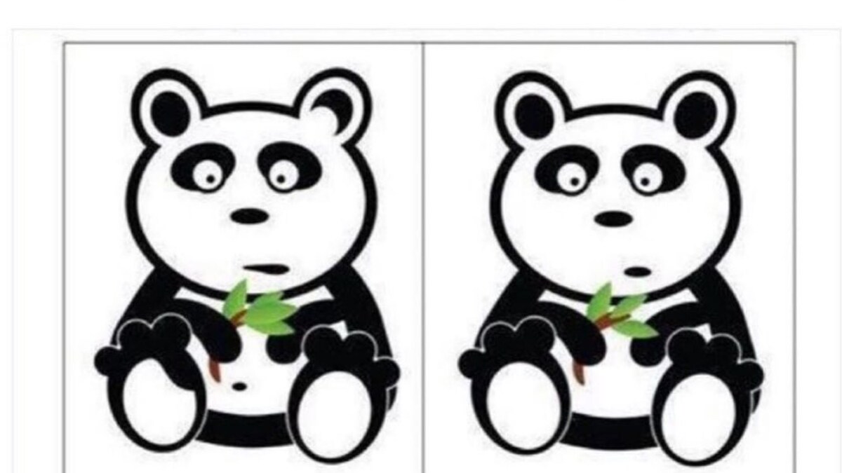 Same But Different, This Panda Puzzle Will Leave You Scratching Your ...