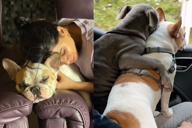 Birthday Girl Samantha Ruth’s Lovely Moments With Her Pet Dogs Are Sure ...