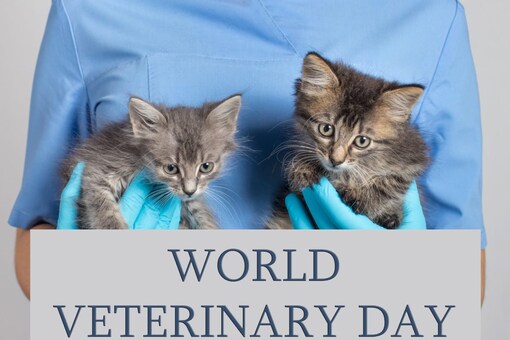 World Veterinary Day 2023: Theme, History, Significance, Messages and ...